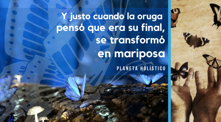 Las fascinantes mariposas: significado espiritual y simbología de sus ...