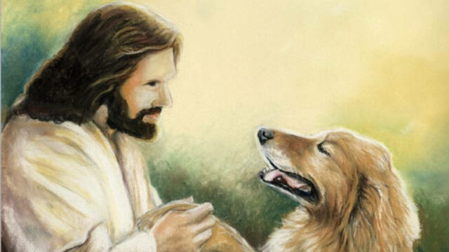 La enseñanza de Jesús sobre el perro muerto – Por León Tolstoi ...